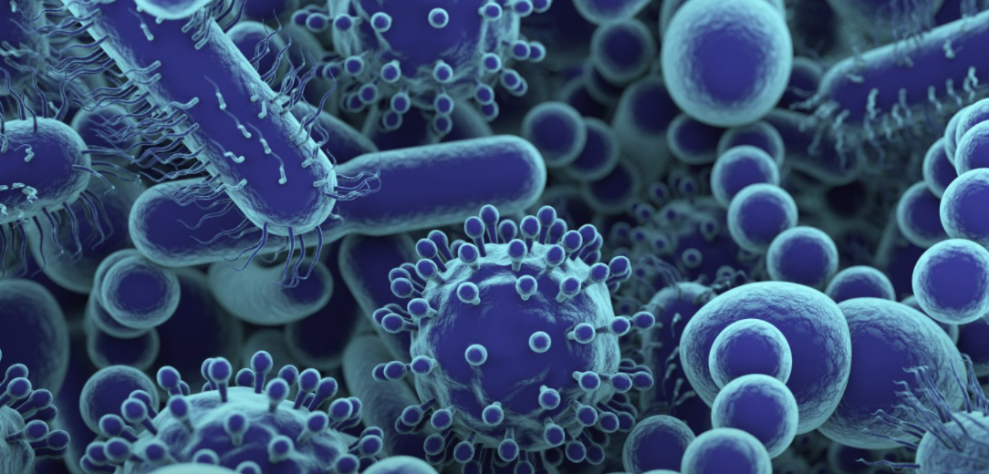 Microbiome – Another ID card? – Journey into the World of Life Science