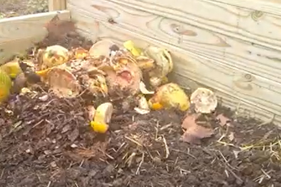 Sustainable Earth || Compost – Journey into the World of Life Science