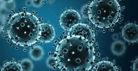 The Flu or a Cold ? – Journey into the World of Life Science